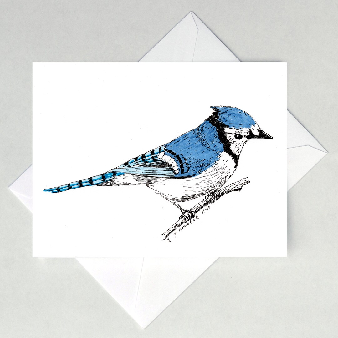 Blue Jay Note Cards - Etsy