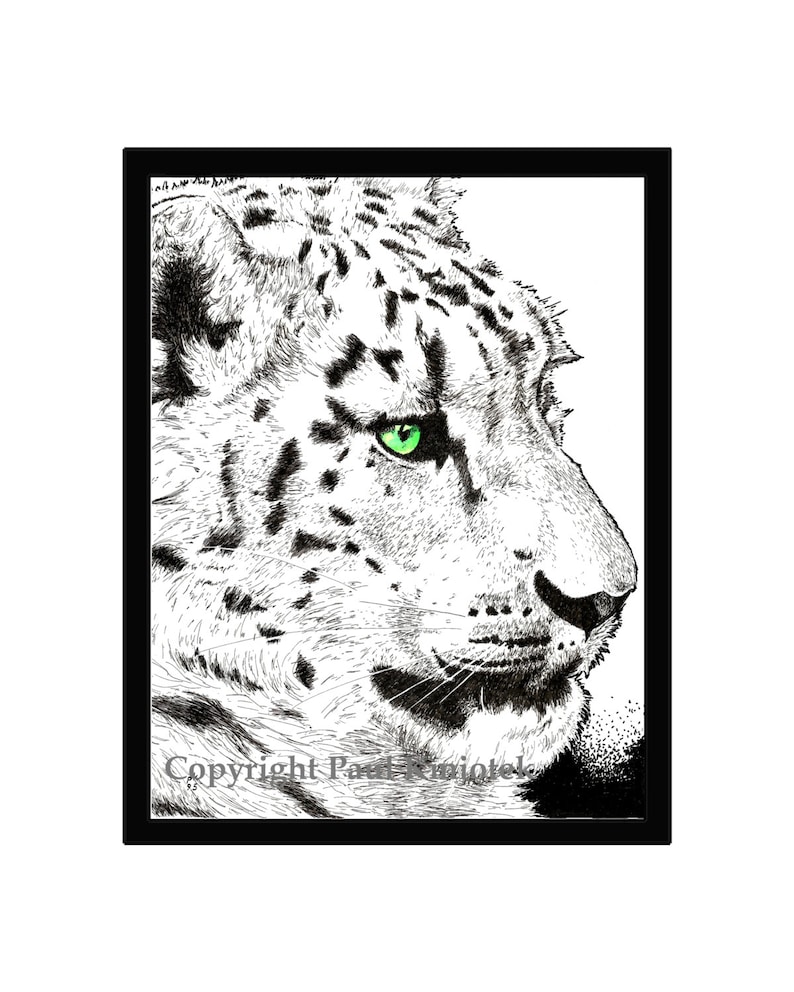 Snow Leopard Pen and Ink Print - Etsy
