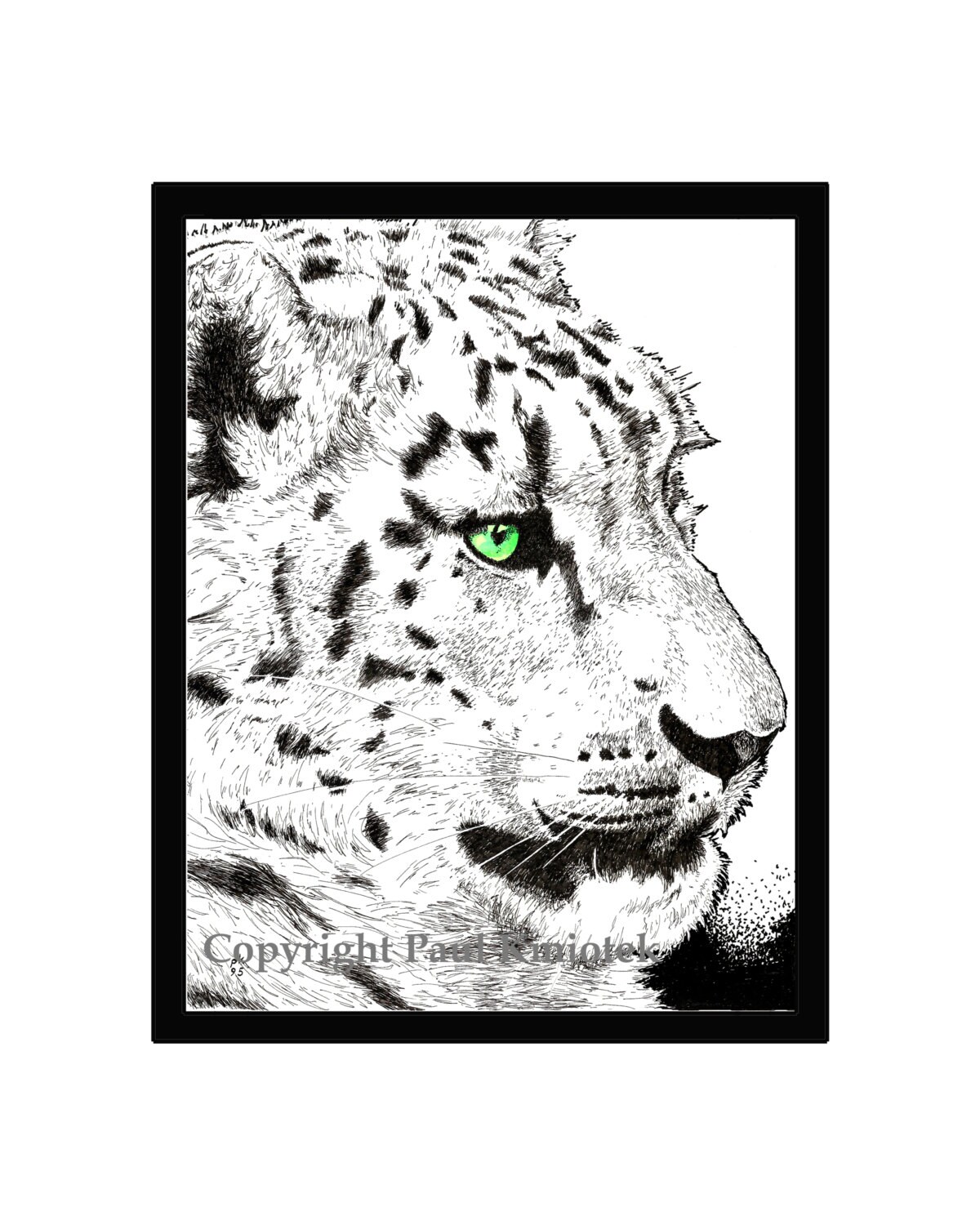 Snow Leopard Pen and Ink Print - Etsy