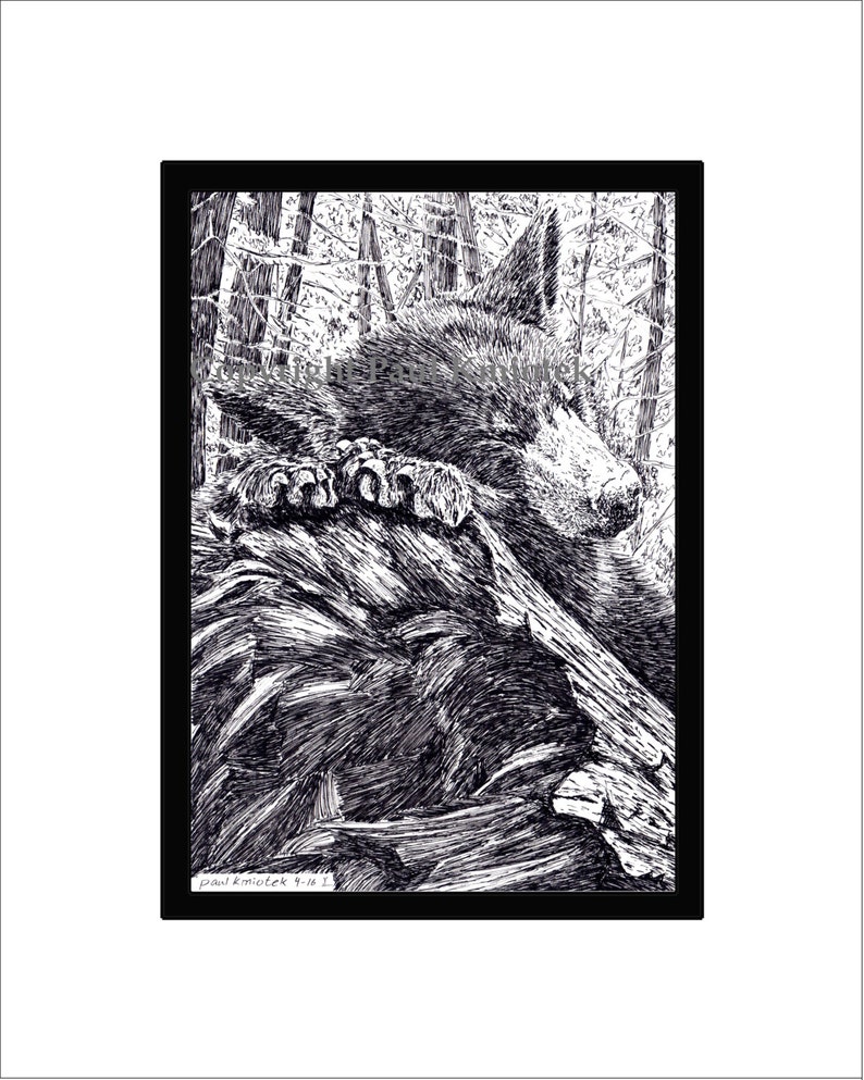 Nap Time Pen and Ink Print, Bear Cub - Etsy