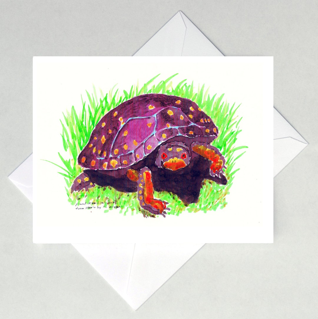 Spotted Turtle Note Cards - Etsy