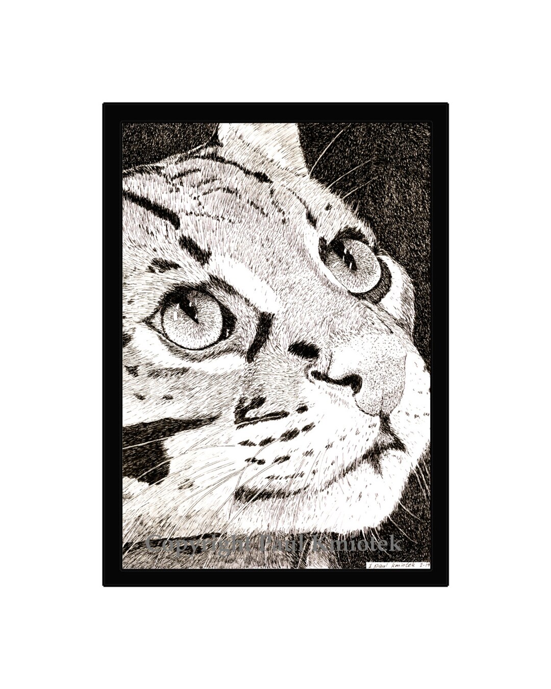 Ocelot Pen and Ink Print - Etsy