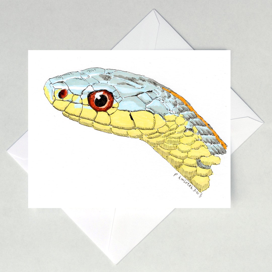 Garter Snake Note Cards - Etsy