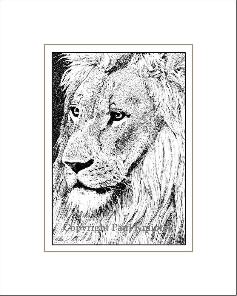 Lion Pen and Ink Print - Etsy