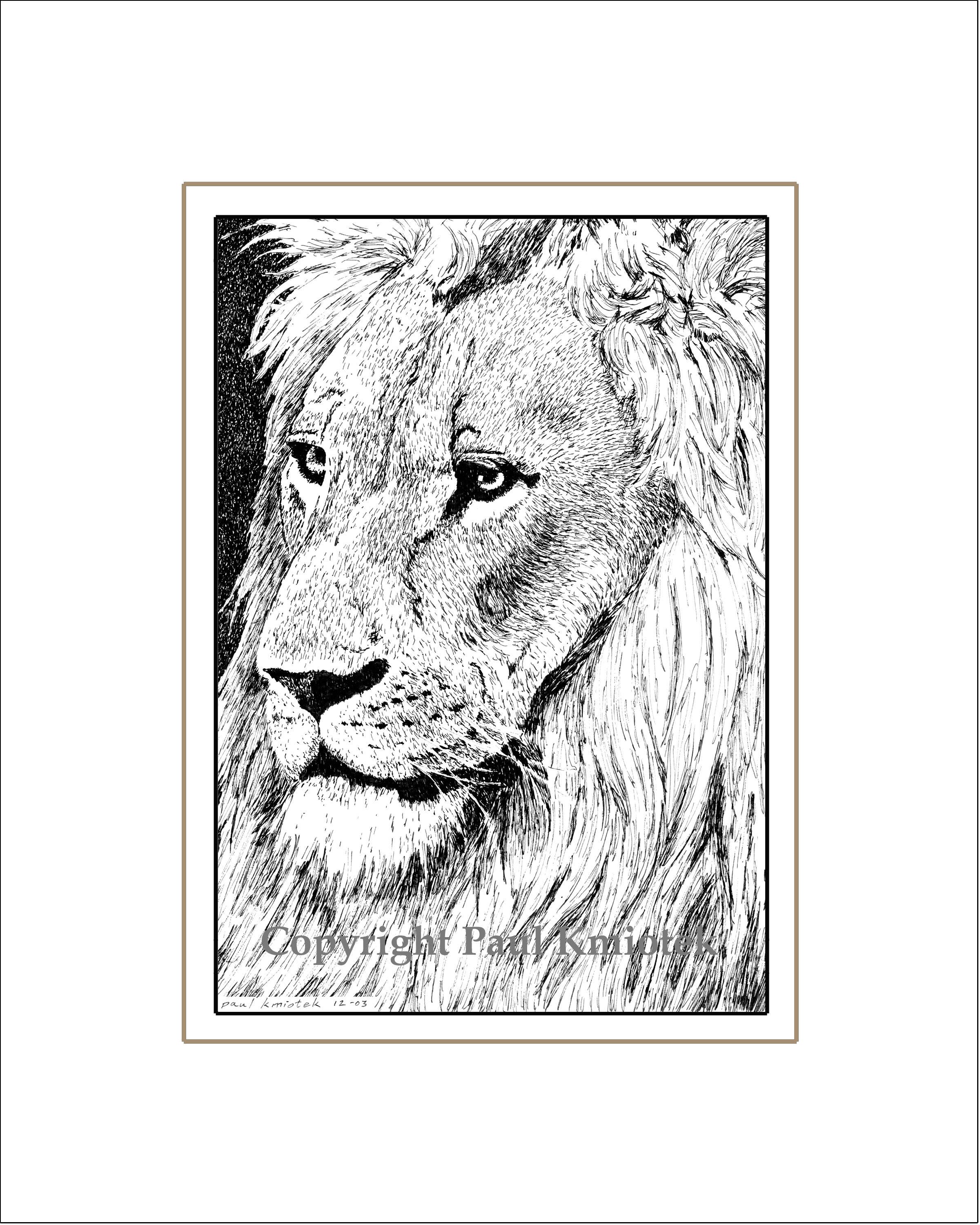 Lion Pen and Ink Print - Etsy
