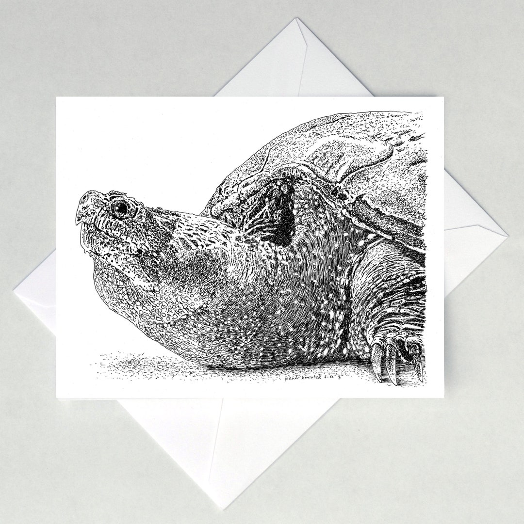 Snapping Turtle Note Cards - Etsy