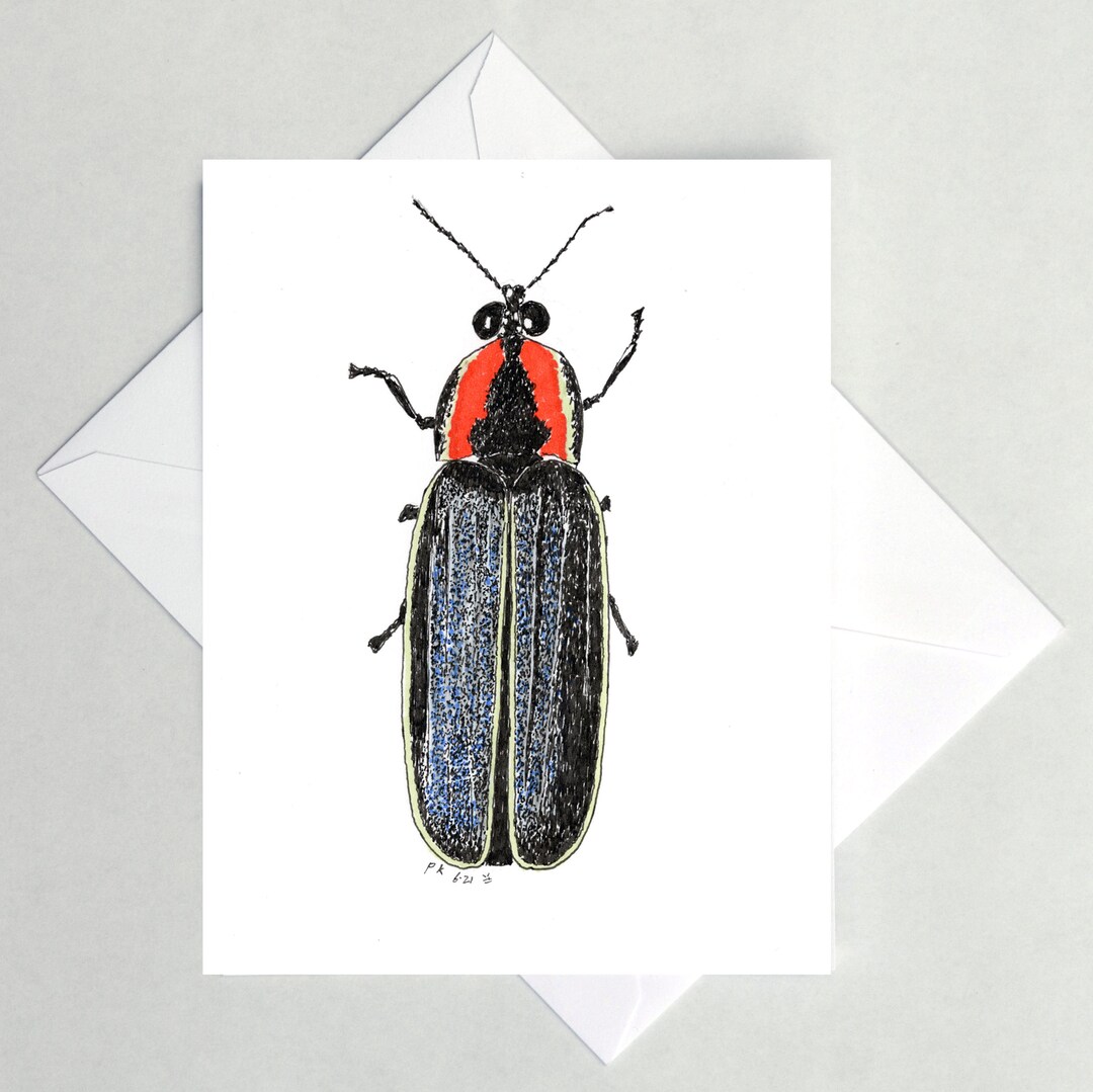 Firefly Note Cards, Lightning Bug - Etsy