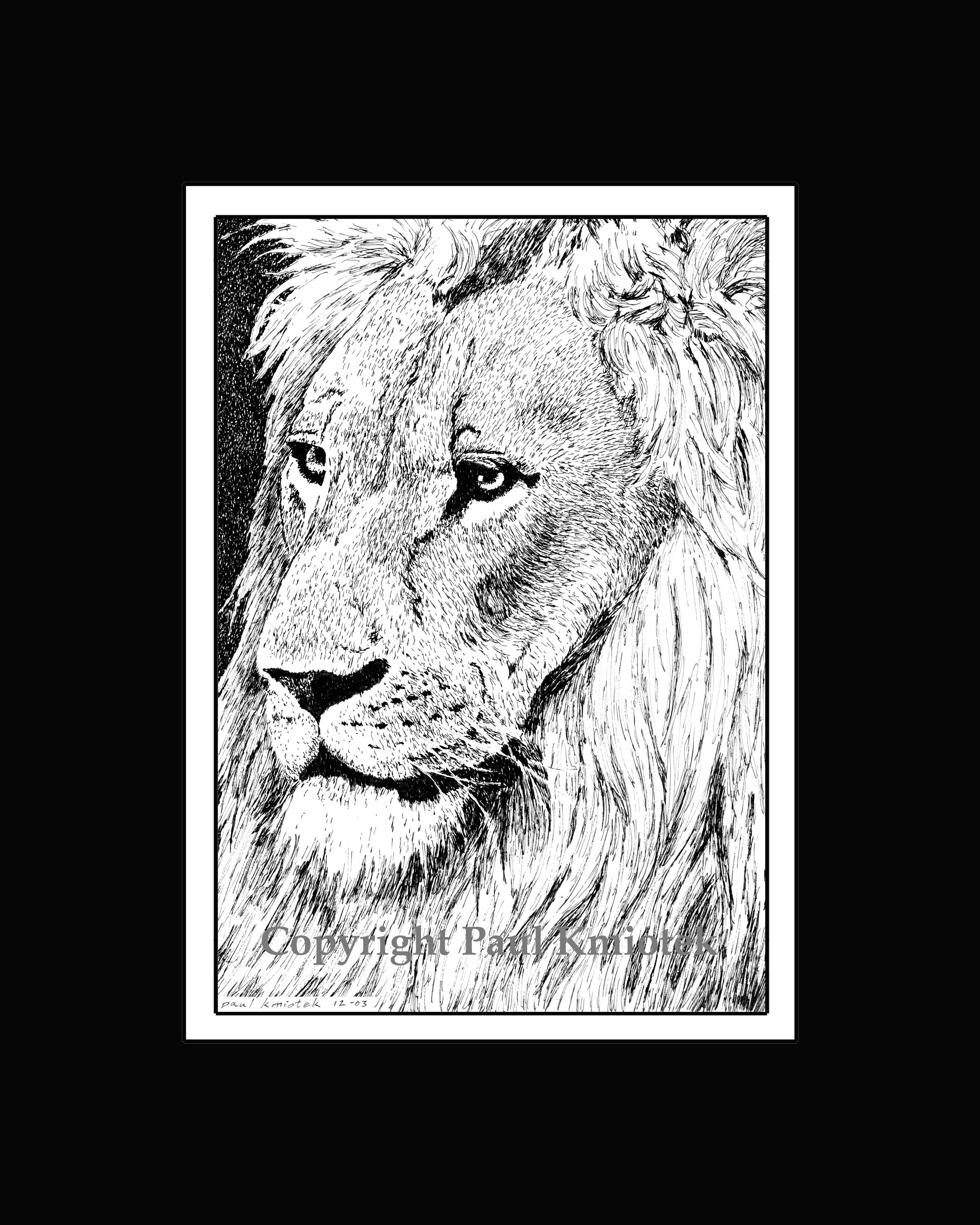 Lion Pen and Ink Print - Etsy
