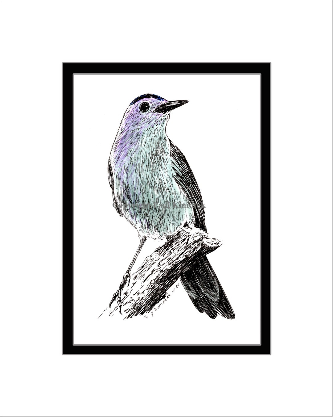 Catbird Pen and Ink Print - Etsy