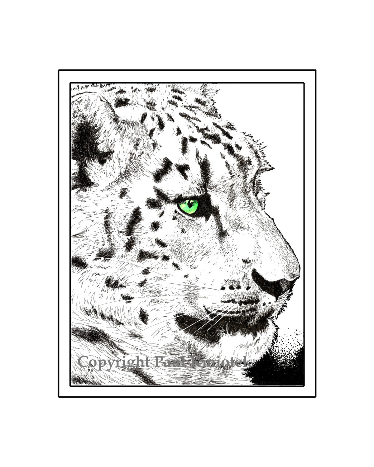 Snow Leopard Pen and Ink Print - Etsy