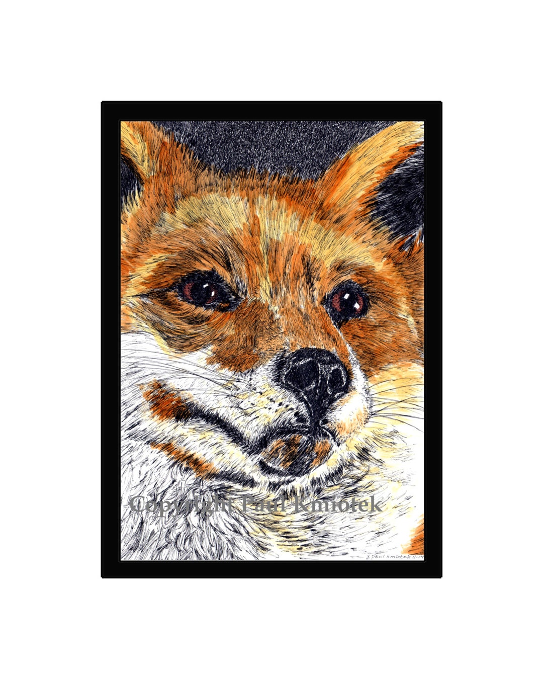 Red Fox Pen and Ink Print - Etsy