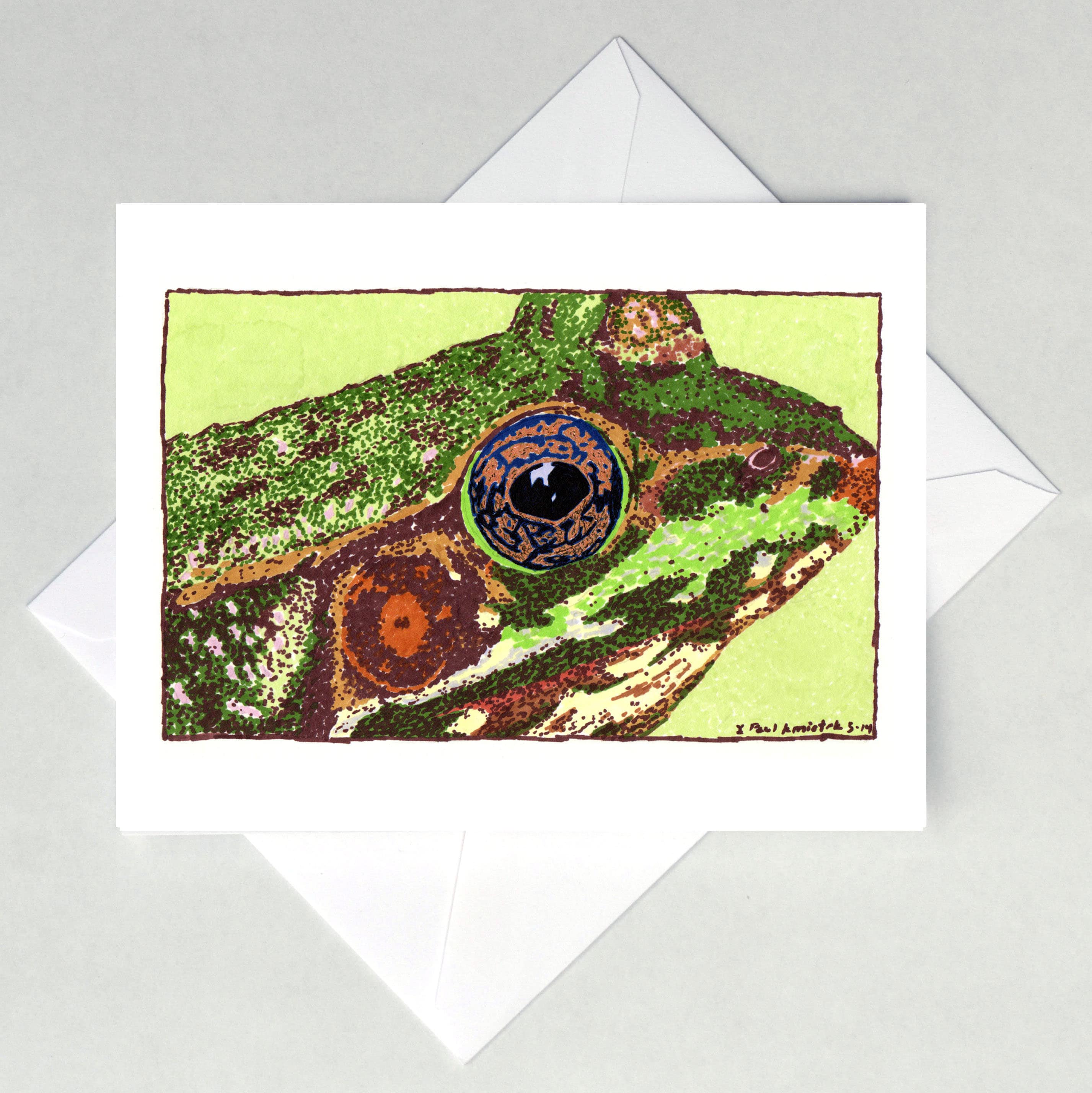Green Frog Note Cards - Etsy