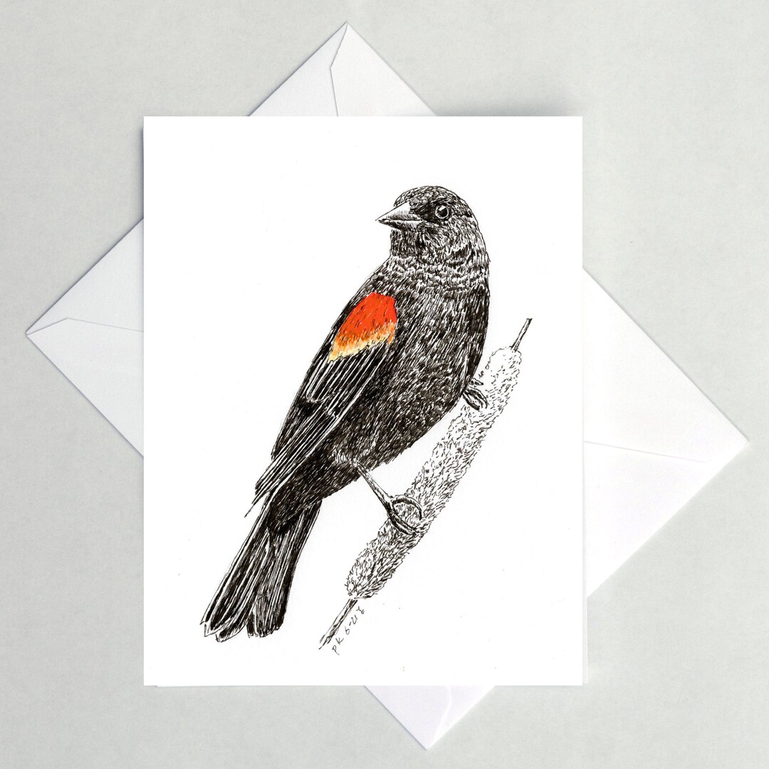Red-winged Blackbird Note Cards - Etsy