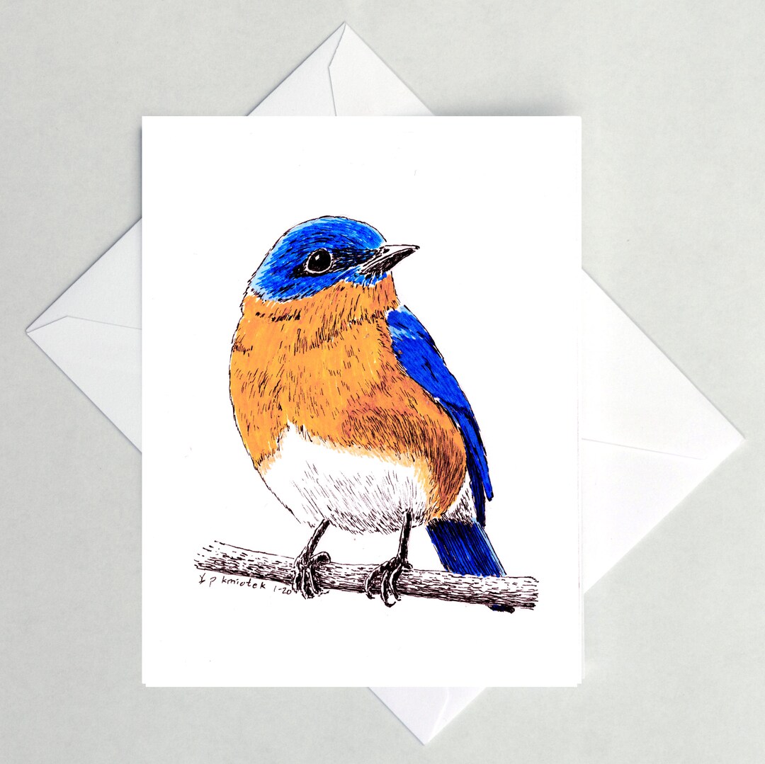Eastern Bluebird Note Cards - Etsy