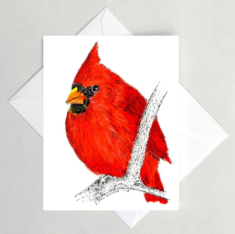 Cardinal Note Cards - Etsy