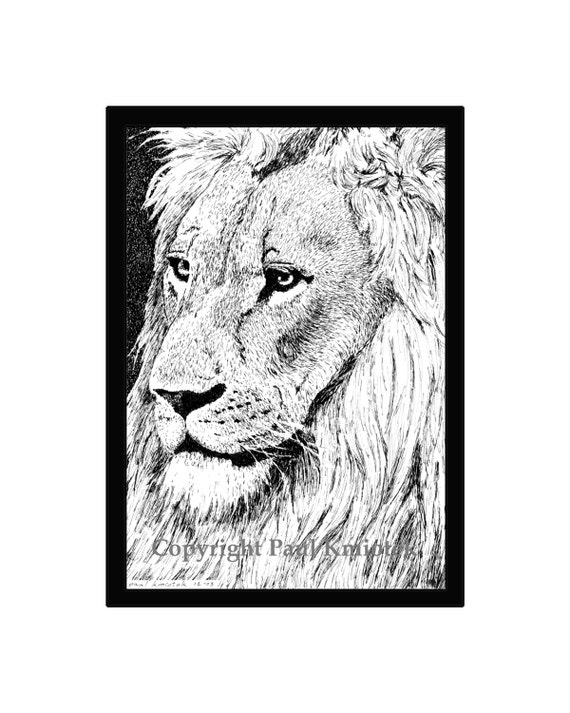 Lion Pen and Ink Print | Etsy