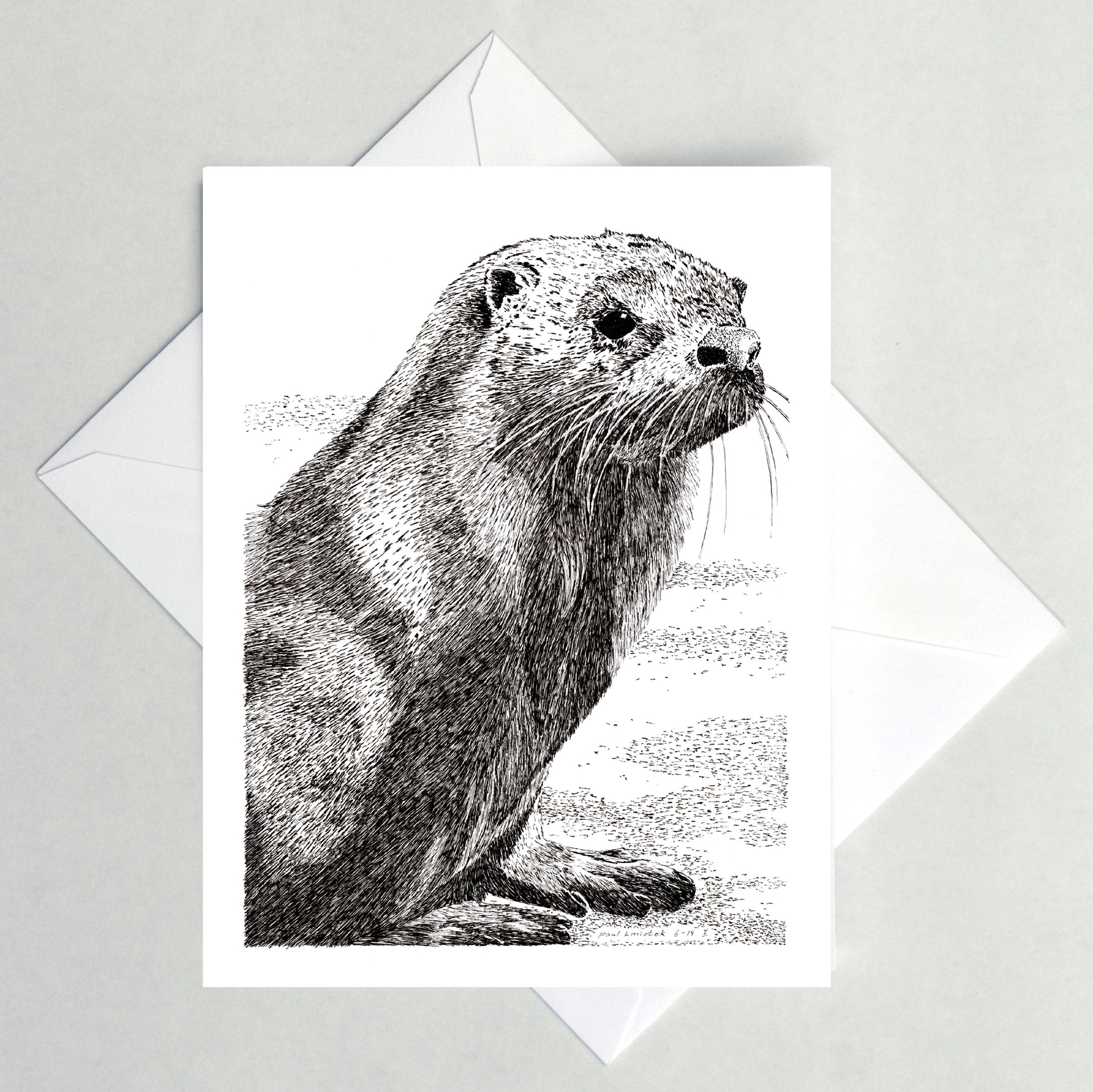 River Otter Note Cards - Etsy