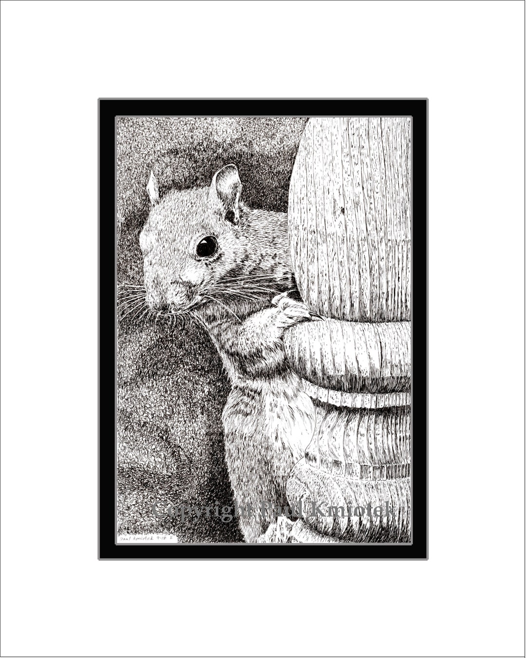 Squirrel Pen and Ink Print - Etsy