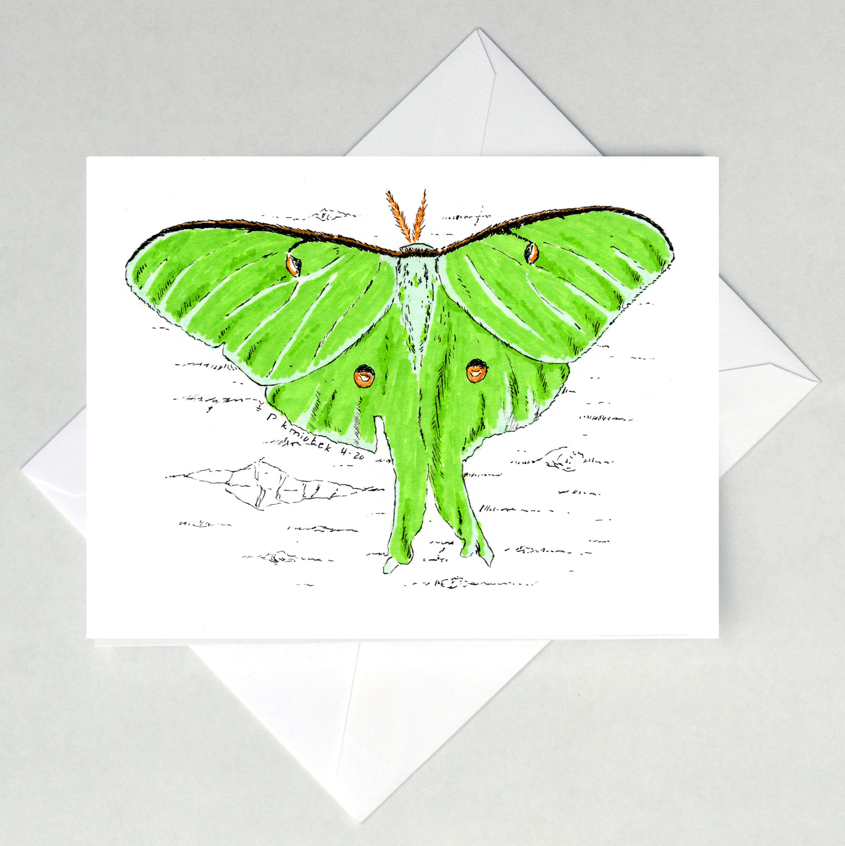 Luna Moth Note Cards - Etsy