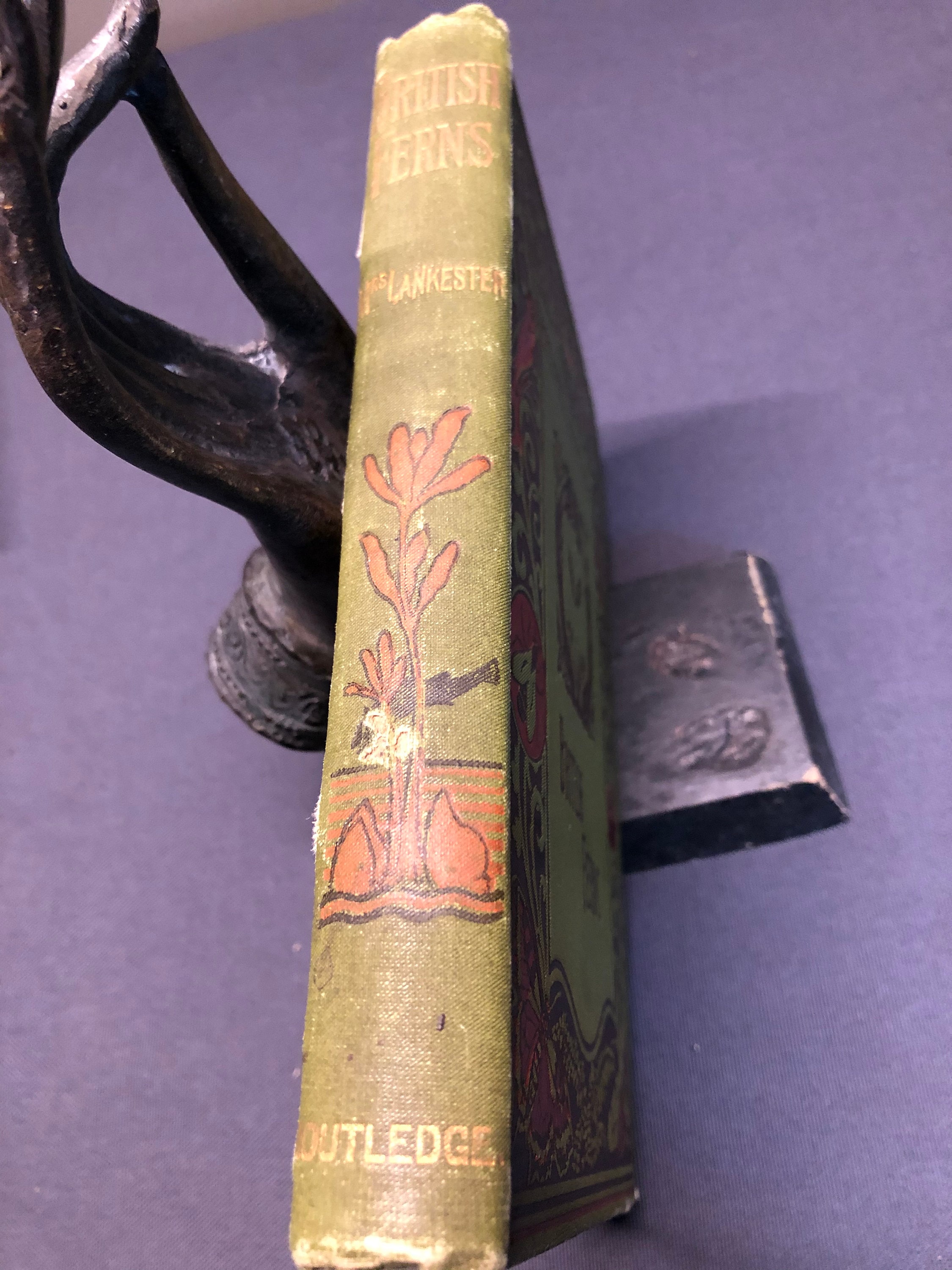 Botanical Book - British Ferns (1912), by Mrs Lankester, Antique Book ...