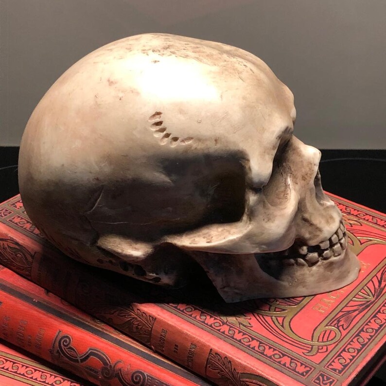 Human Skull Replica Plaster Hand Painted Life Size - Etsy