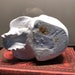 Human Skull Replica Plaster White Unpainted Full Size - Etsy