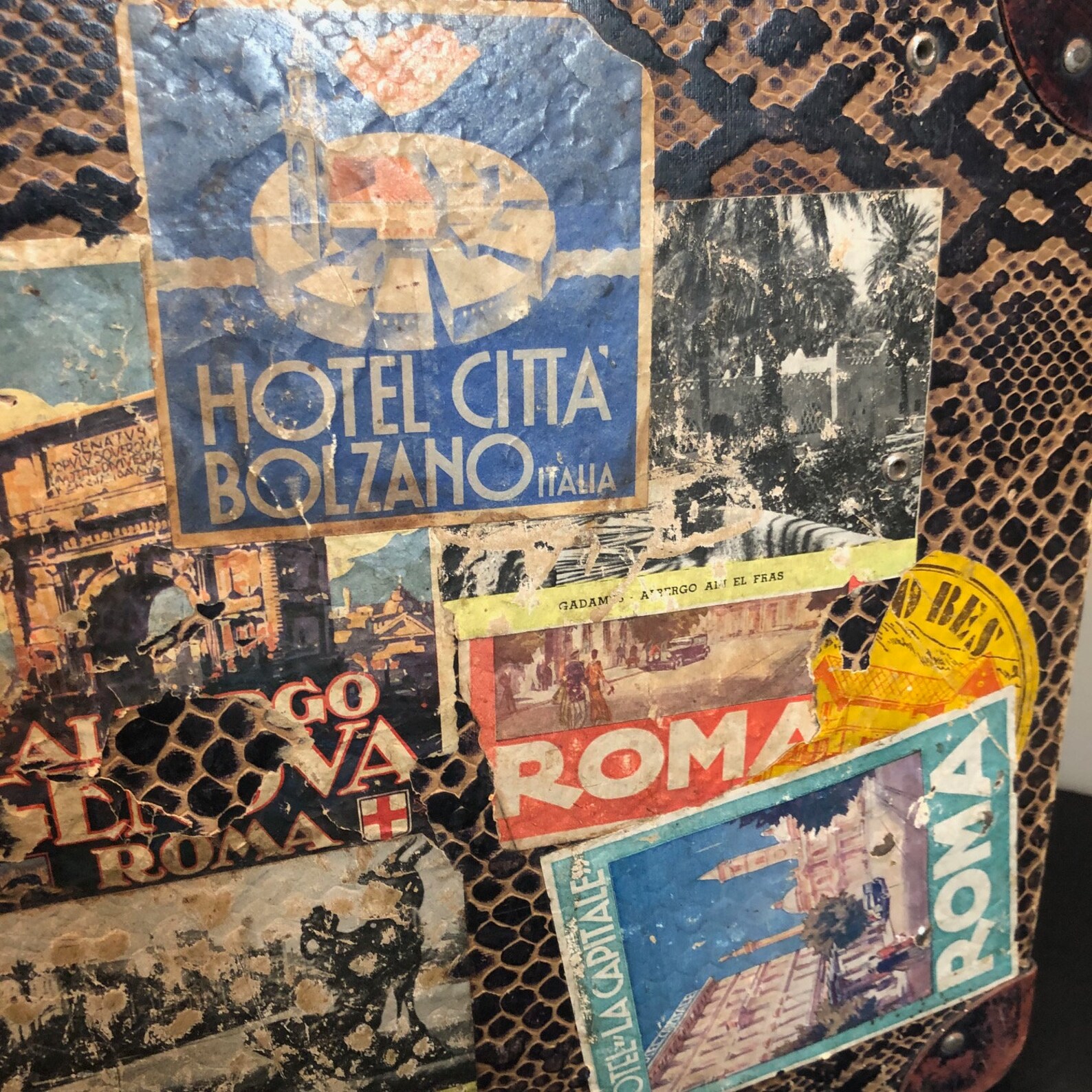 Vintage Cardboard Travel Case Briefcase Python Effect - Etsy