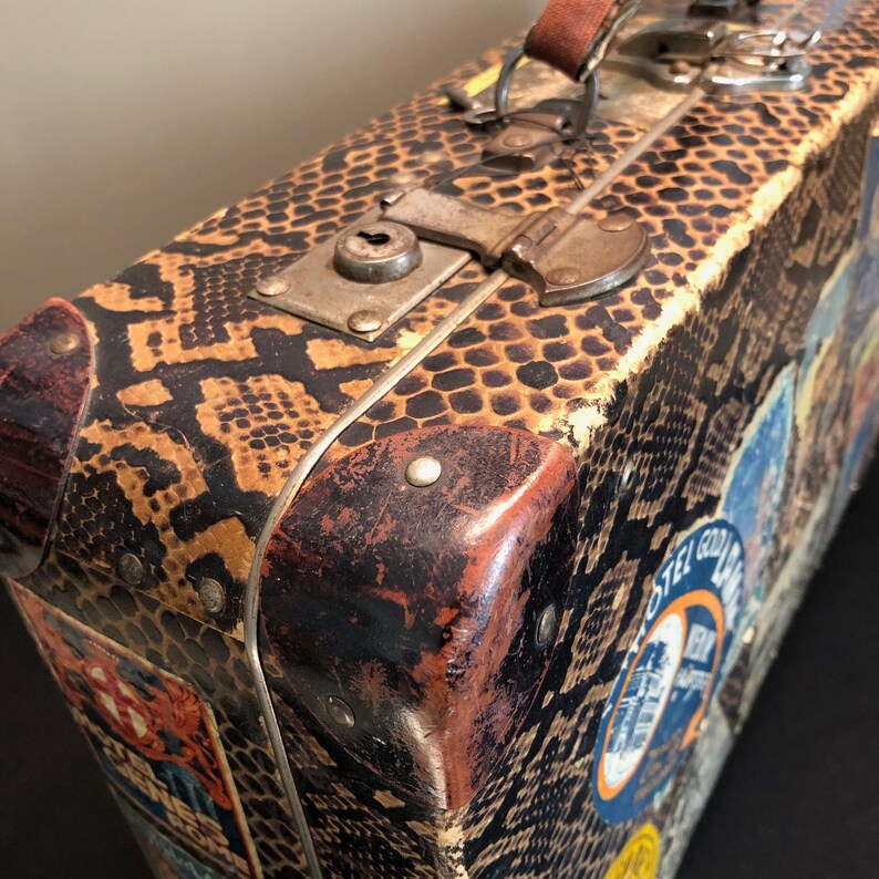 Vintage Cardboard Travel Case Briefcase Python Effect - Etsy