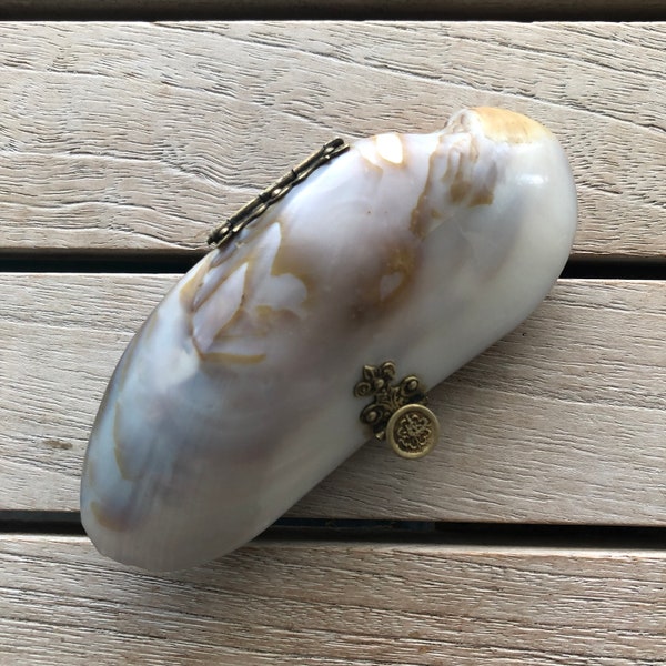 Antique Shell Purse - Etsy