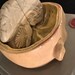 PARAVIA Human Head Section With Brain Plaster Published on - Etsy