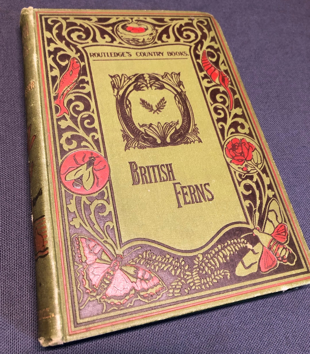 Botanical Book - British Ferns (1912), by Mrs Lankester, Antique Book ...