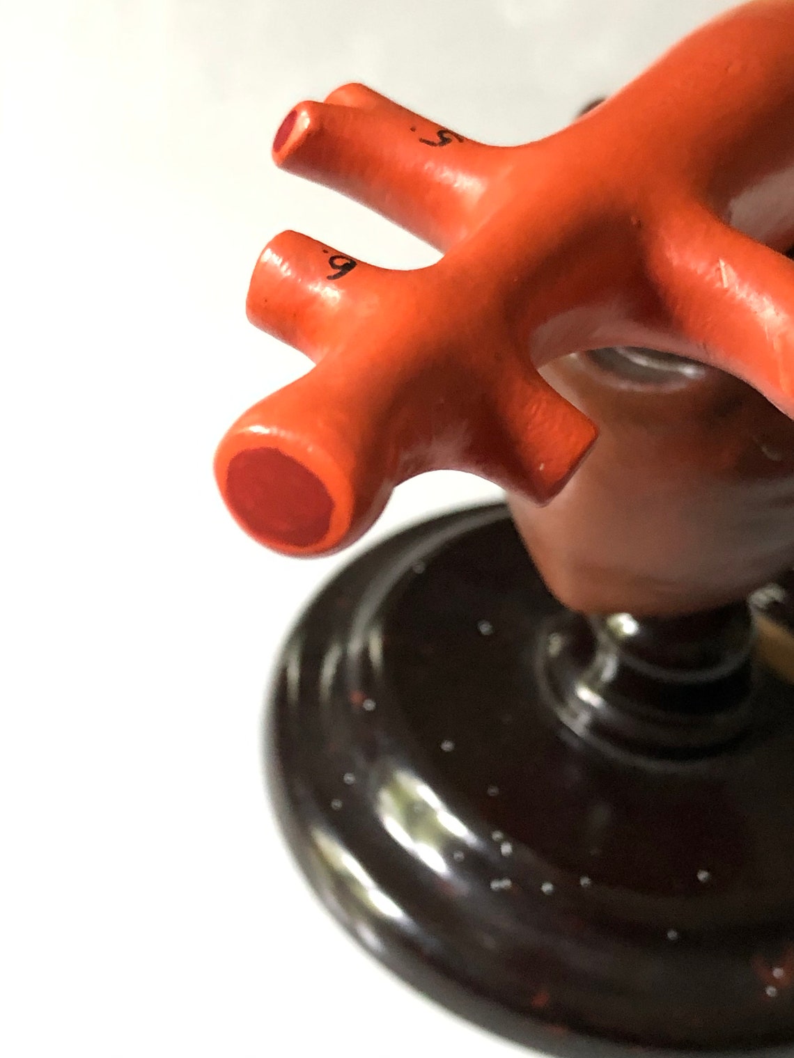 Vintage Heart Model of a Frog Tridimensional Enlarged | Etsy