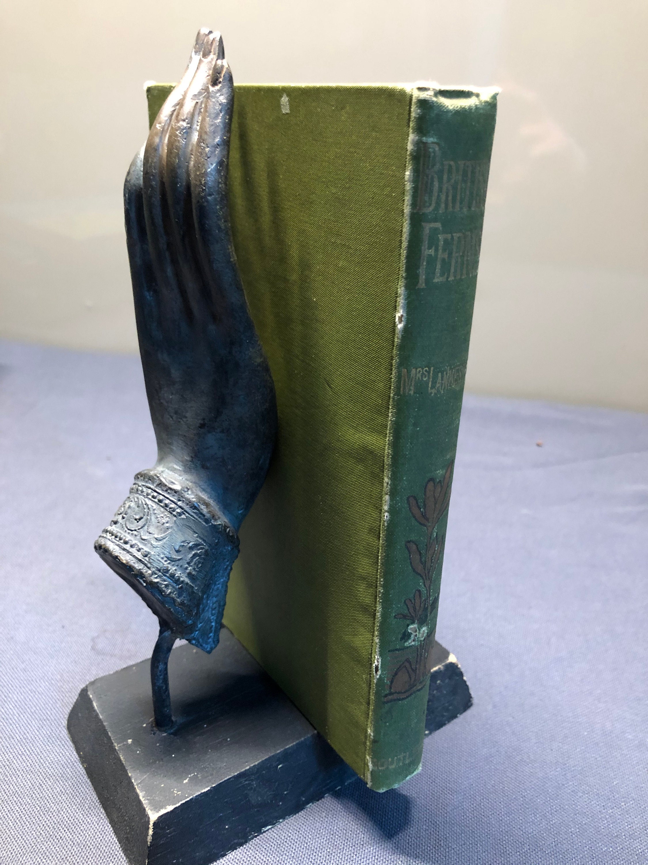 Botanical Book - British Ferns (1912), by Mrs Lankester, Antique Book ...