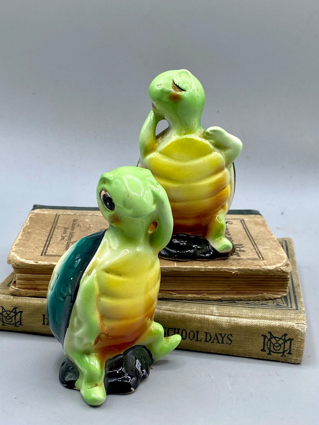 Salt and Pepper Turtles Salt and Pepper Shakers Adorable Faces - Etsy