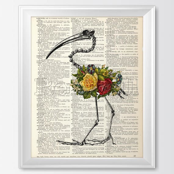Bird Skeleton Dictionary Art Print Ibis Skeleton Print Bird | Etsy