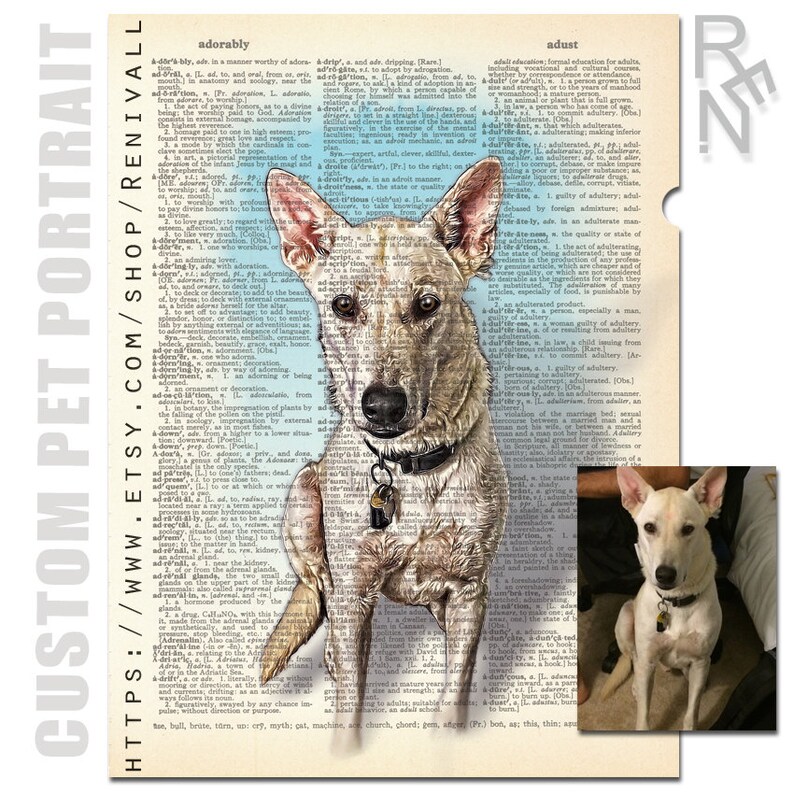 Custom Pet Portrait From Photo Personalized Gift Idea for | Etsy