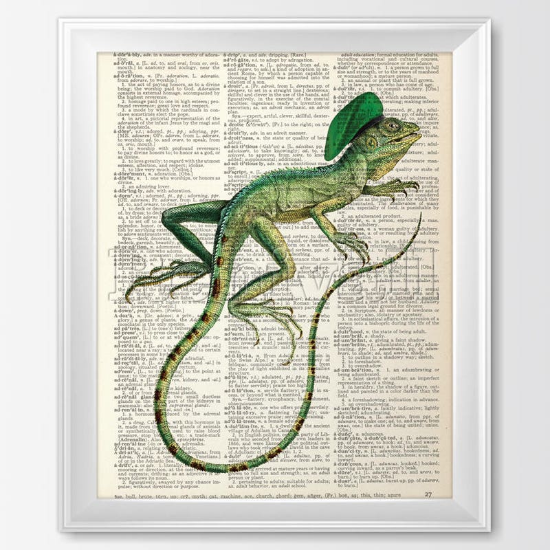 Gecko Wall Art - Etsy