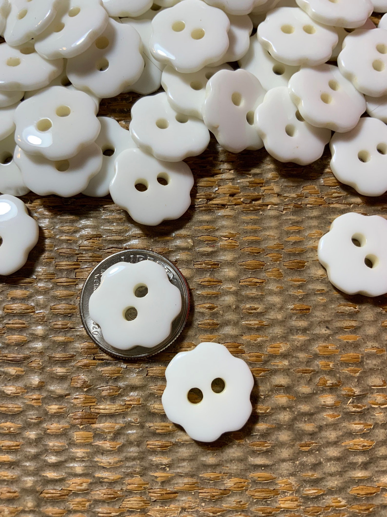 White Flower Buttons, 75 Pc, Vintage White Plastic Flower, Garden ...