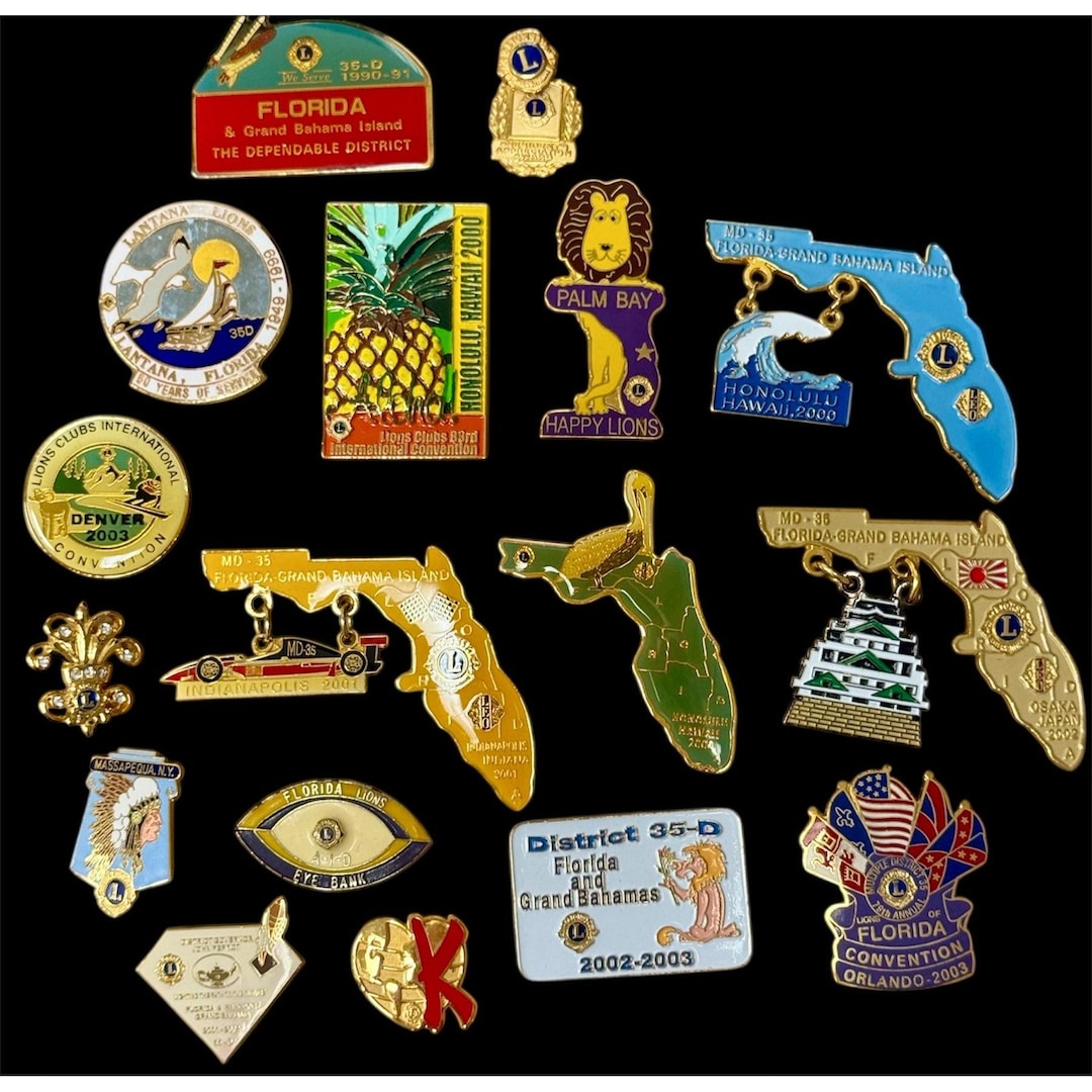 17 Pc Vintage 1990's 2000's Florida Lions Club FRATERNITY Membership ...