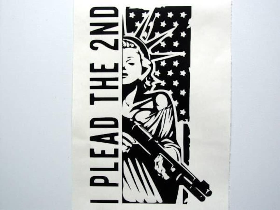 I Plead the 2nd Vinyl Decal, Laptop, Tumbler, 2nd Amendment - Etsy
