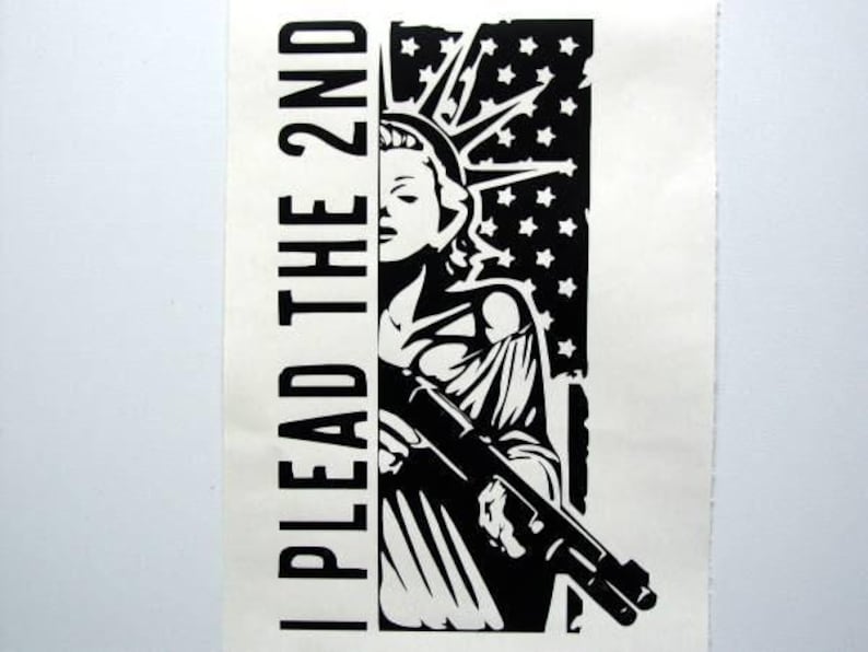 I Plead the 2nd Vinyl Decal, Laptop, Tumbler, 2nd Amendment - Etsy