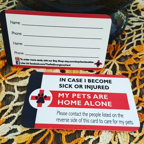 In Case of Emergency Pet Cards Set of 2 - Etsy