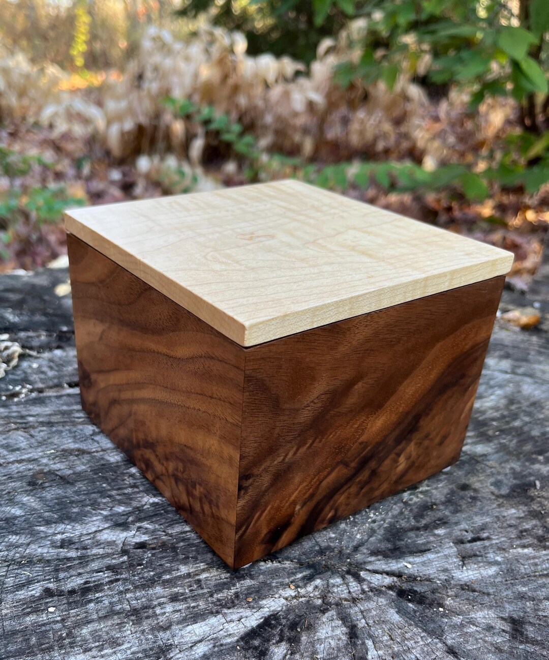 Beautiful Small Figured Claro Walnut and Curly Maple Box - Etsy