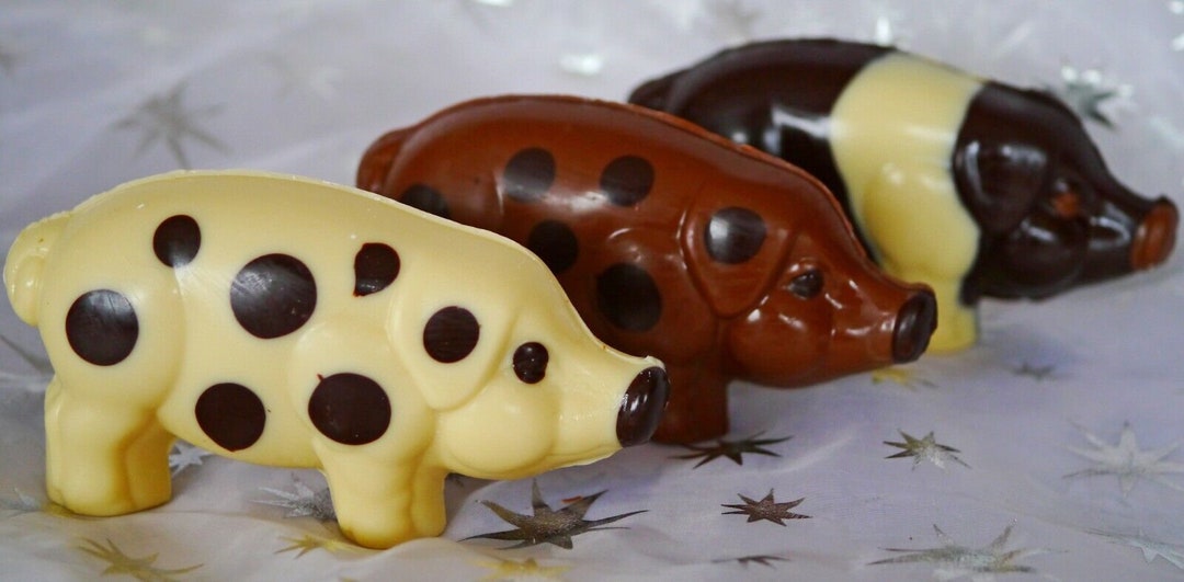 Hand-made Belgian Chocolate Pig Old Spot/saddleback - Etsy UK
