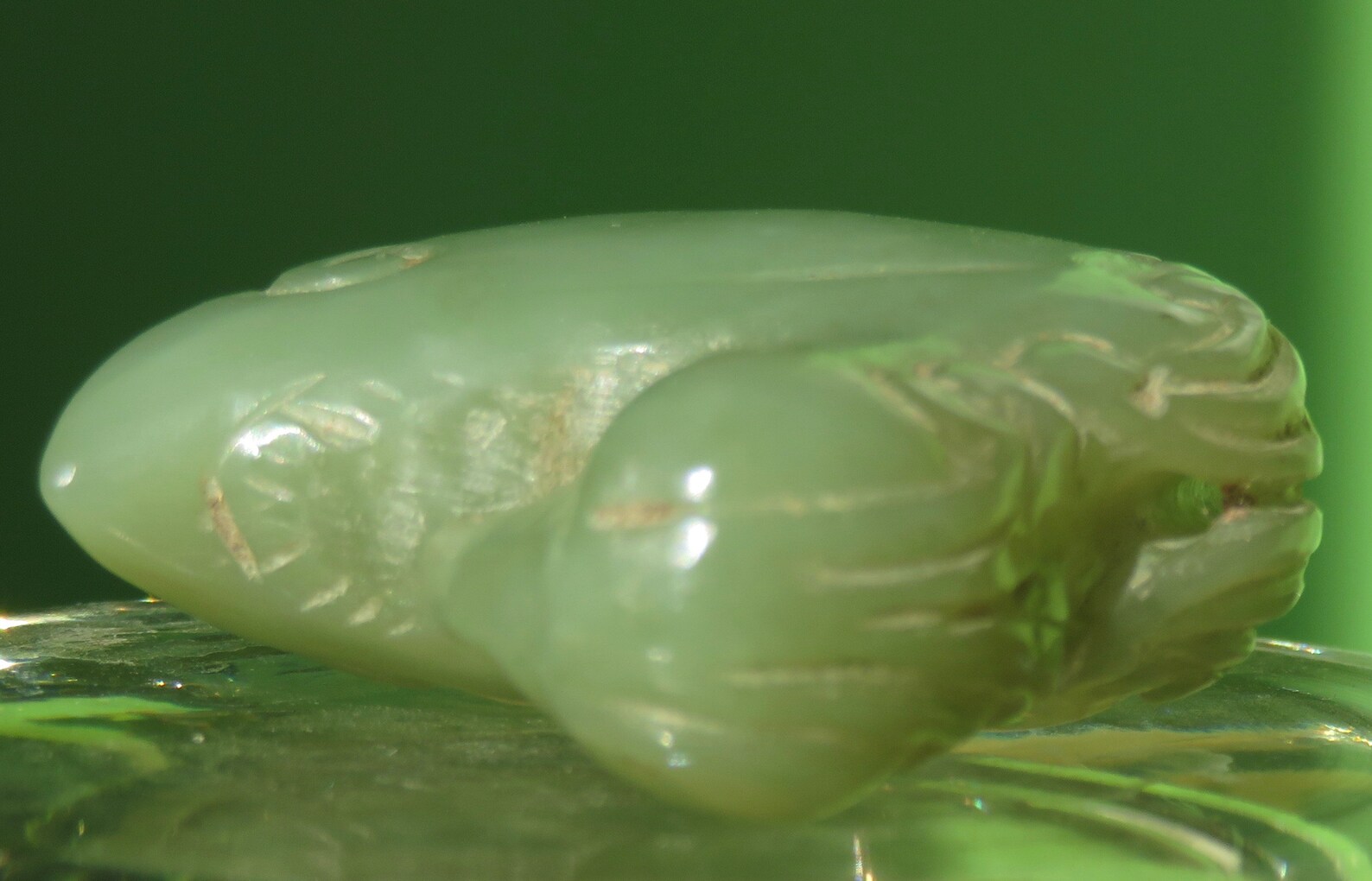 Hand Carved Green Jade Bird Duck Figurine Pendant - Etsy