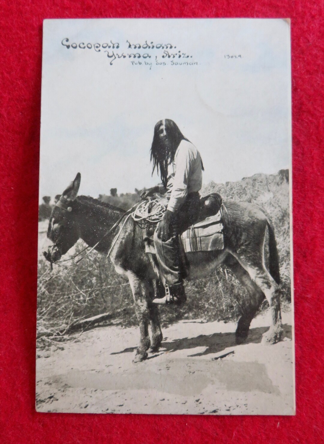 Early 1900's Cocopah Indian on Horse Native American Yuma Arizona RPPC ...
