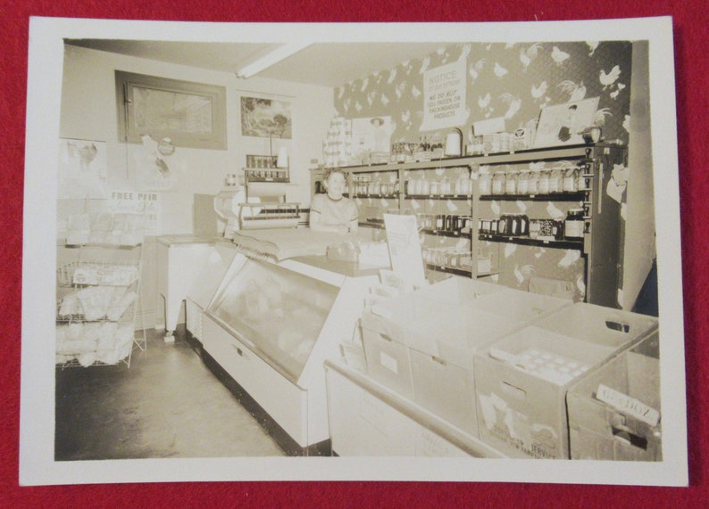 1950's Chicago Corner Store 7 X 5 Occupational Photo - Etsy