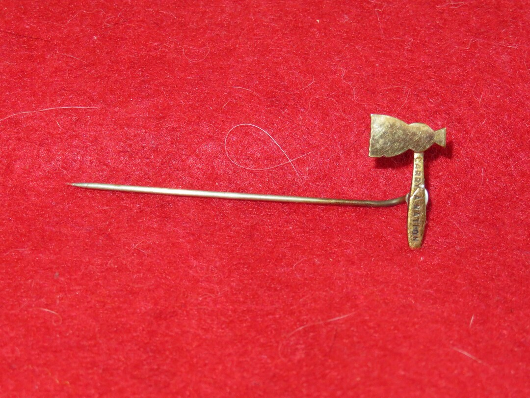 Original 1900's Carry A. Nation Pre Prohibition Activist Temperance ...