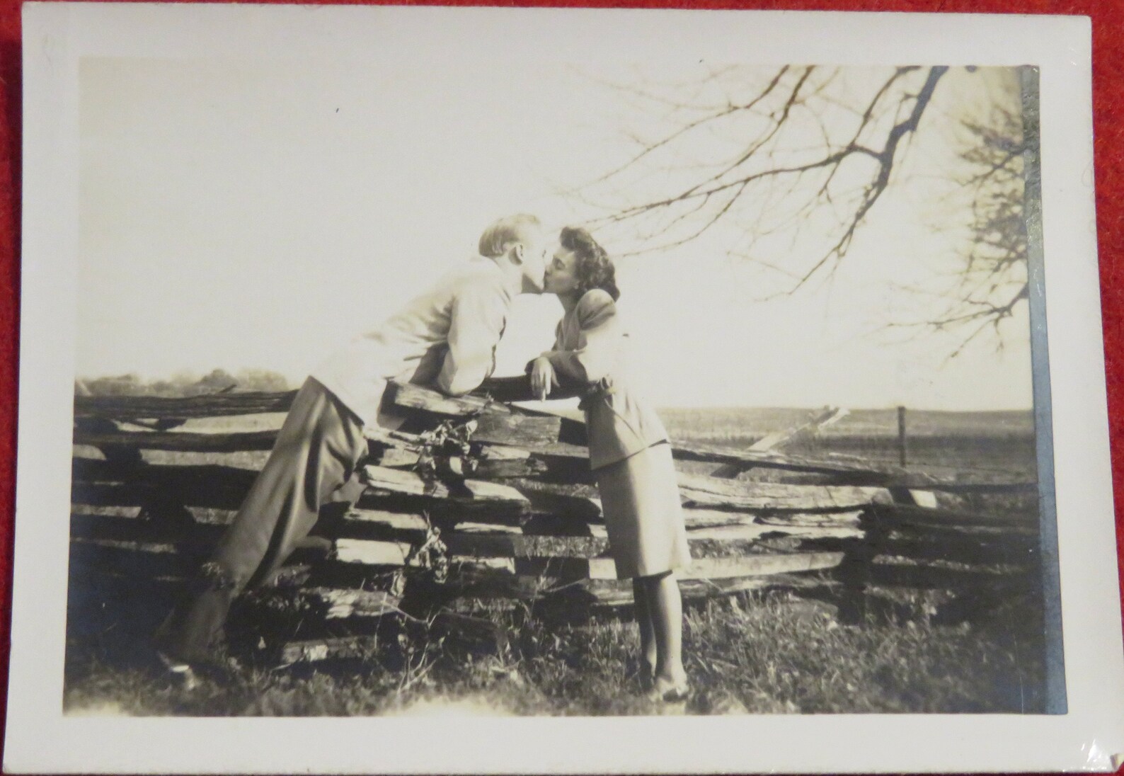 1930s Couple Kissing Over Fence: Vintage Snapshot Photograph - Etsy