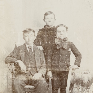 Victorian Children, 3 Brothers, Huge Bow, Group Portrait Cabinet Card ...